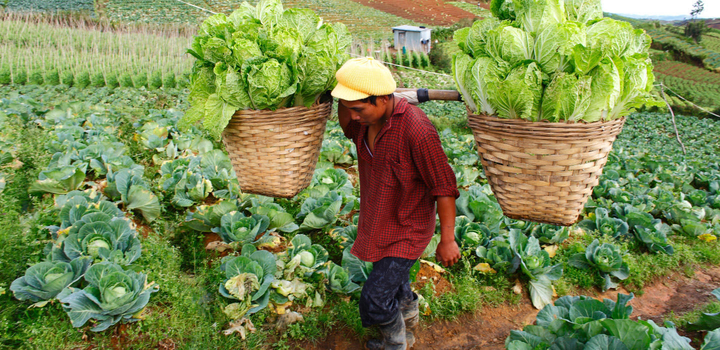 A year in review: Nurturing resilient rural communities in a time of ...
